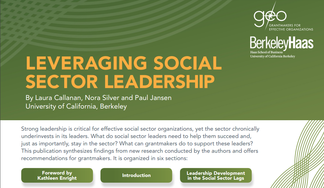 Leveraging Social Sector Leadership - GEO