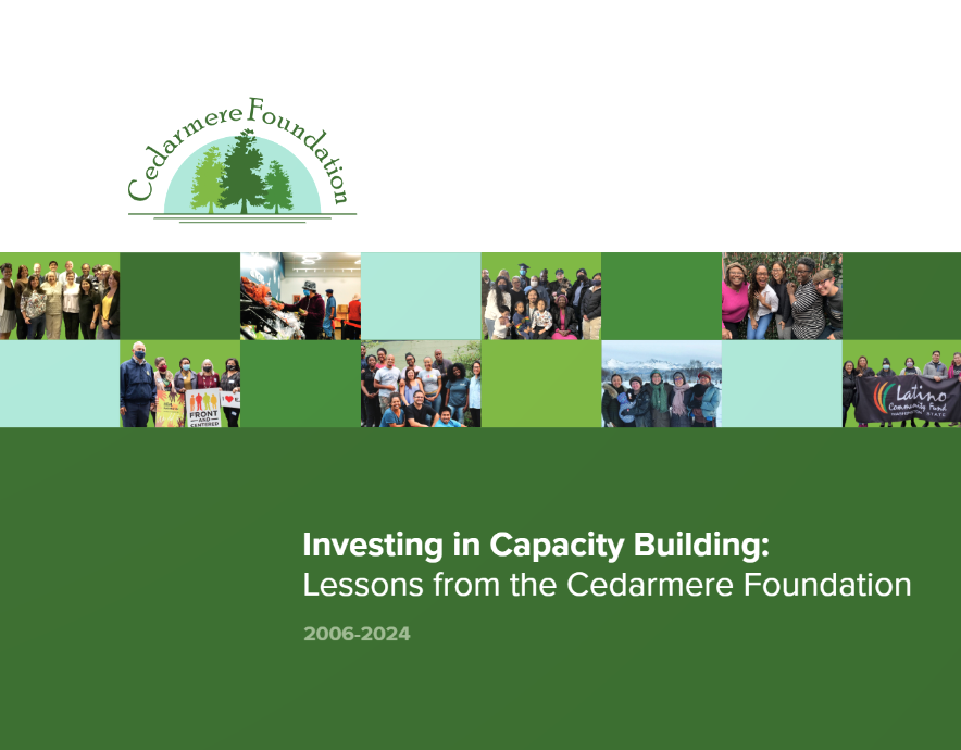 Investing in Capacity Building: Lessons from the Cedarmere Foundation - GEO